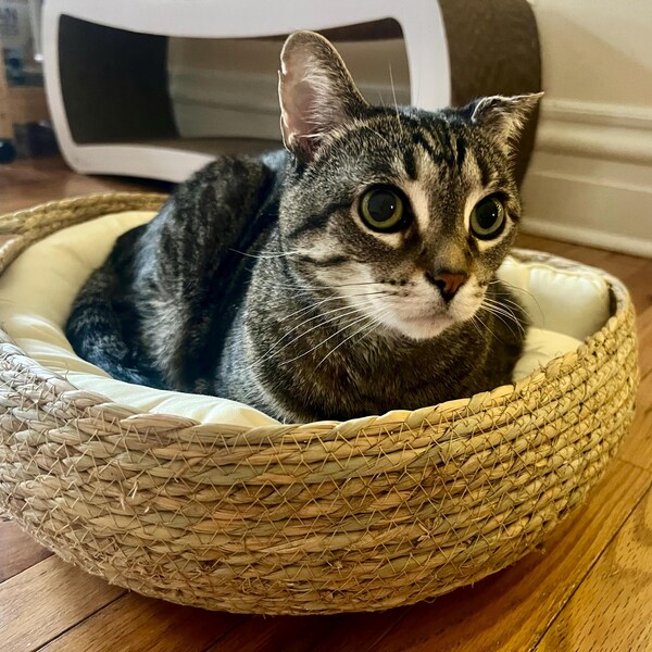 Cat Ball Batting Tower, Interactive Fluffy Toy Ball Cat Furniture, Gift ...