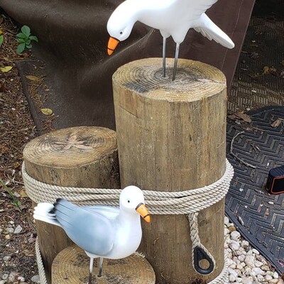 Life-size Seagull Replicas. You Get Both the Landing and - Etsy Canada