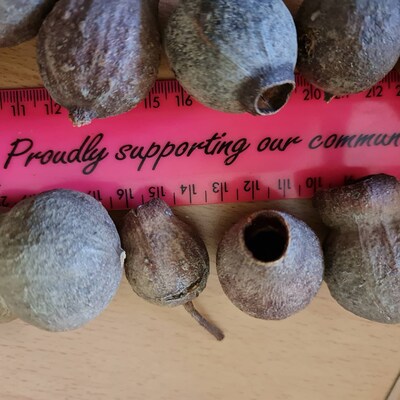 Nature Craft Mix Montessori, Reggio Emilia, Kids Craft Pack, Australian ...