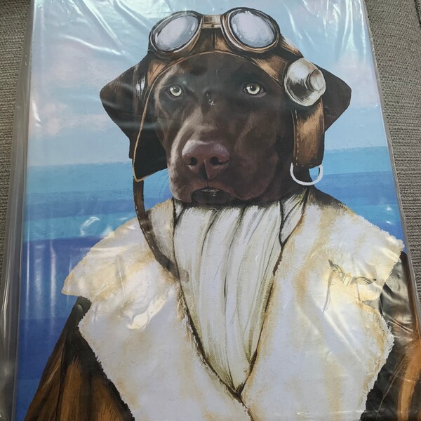 Pilot Pet Portrait, Custom Pet Portrait, Pet Portraits, Dog Portrait ...