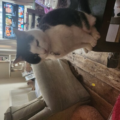 Plain Printable Paper Wristbands Custom Party Events Strap Festivals ...