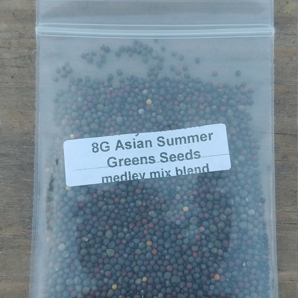 8-gram 5000+ Asian Summer Greens Seeds Mix Blend: Gai Lan, Yu Choi ...