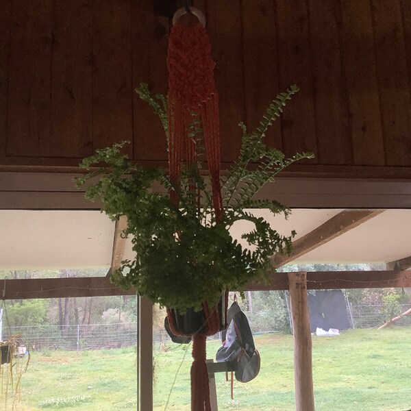 Digital Download Macrame Plant Hanger Pattern , Hanging Planter ...