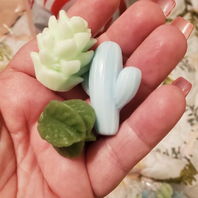 Mini Bulk Cactus Soap Succulent Soap Cactus Gift Cactus - Etsy