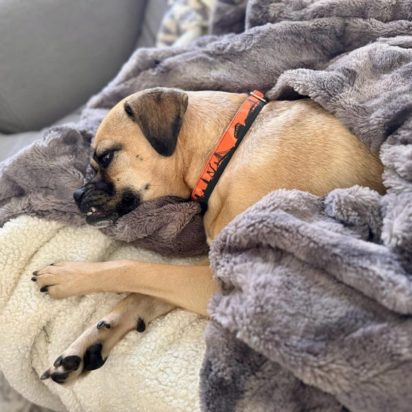 Chinese Takeout Bow Tie Bow Tie for Men for Him Bowtie Dog Bow Tie Mens ...