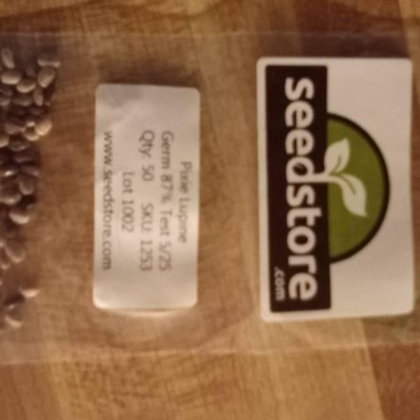 Gloria Cosmos Seeds | Cosmos Bipinnatus | Non-gmo | Flower Seeds | Seed ...