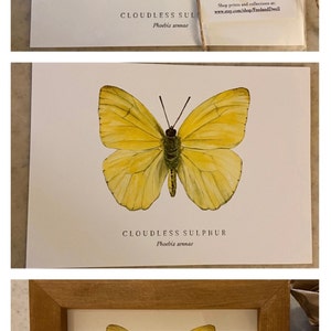 Garden Alphabet Watercolor Nursery Art Garden ABC Print Playroom Decor ...