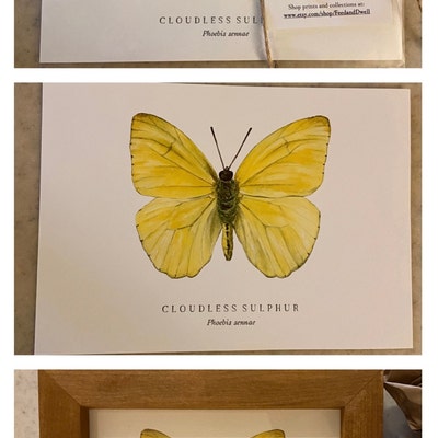 Garden Alphabet Watercolor Nursery Art Garden ABC Print Playroom Decor ...