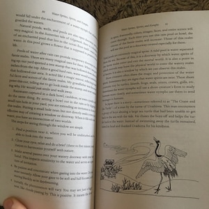 365 Days of Hoodoo Daily Rootwork Mojo & Conjuration Book | Etsy