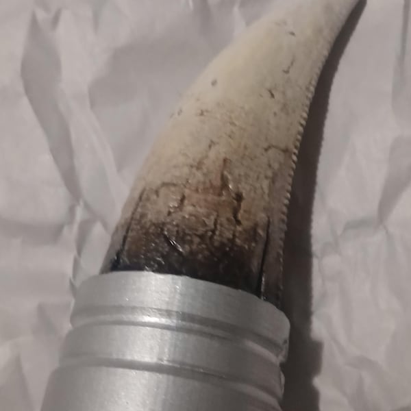 Rancor Tooth Lightsaber Pommel (galaxy's Edge Savi's Workshop and Lgt ...