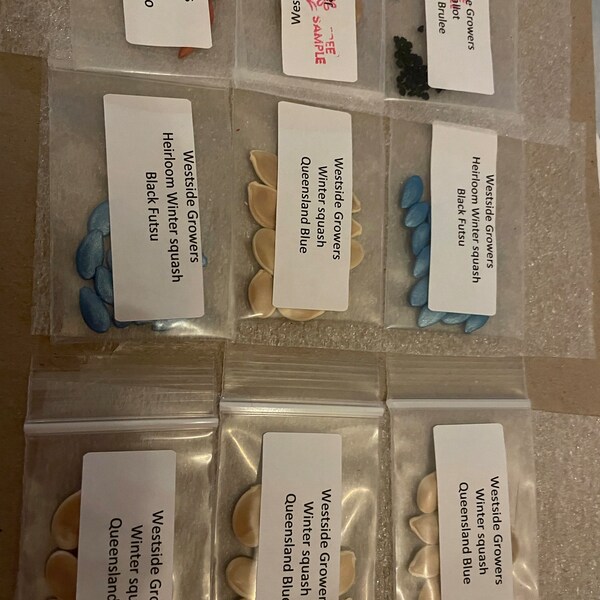 10 Heirloom Japanese Black Futsu Squash Seeds - Unique ! Fall ! Asian ...