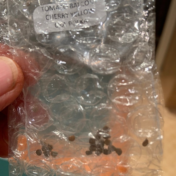 AUBRETIA ROYAL VIOLET (600 zaden) Vaste plant - Etsy Nederland