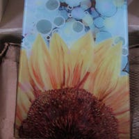 Kitchen Splashback, Tempered Glass Backsplash, Wall Panel Behind Cooker ...