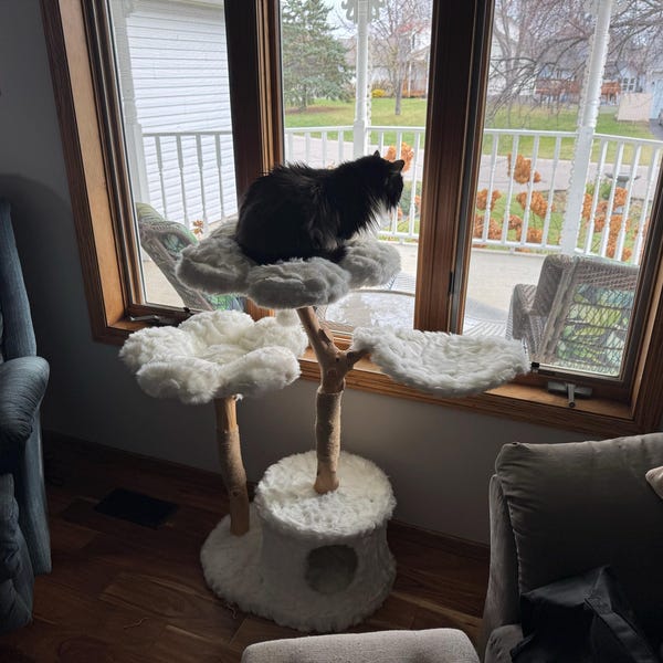 EDEN Wood Floral Cat Tree Tower, Wooden Cat Tower, Modern Cat Climbing ...