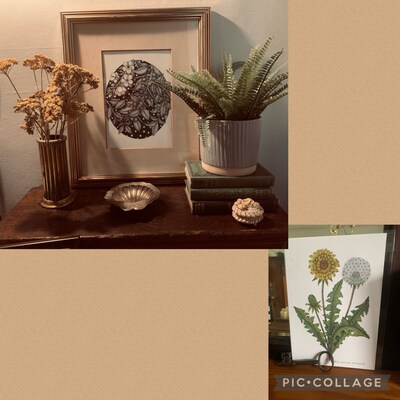 Olwen Sun Mask Illustration Print A4 Print Folklore Sun Goddess ...