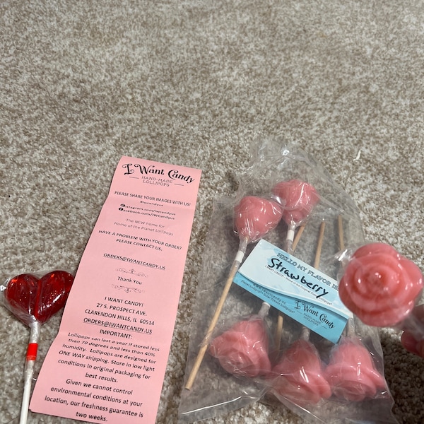 3D Sea Shell Lollipops 6-piece Set by I Want Candy - Etsy