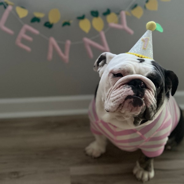 Felt Football Garland: 48in Sports Party Decor - Etsy