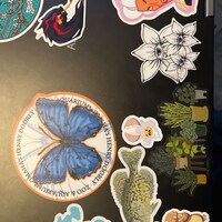 Brimstone Bawk Bawk Valorant Spray Waterproof Sticker - Etsy UK