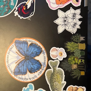 Omen Cat Dance Valorant Spray Waterproof Sticker - Etsy