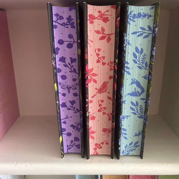 Lightlark Series Sprayed and Stenciled Edges - Etsy