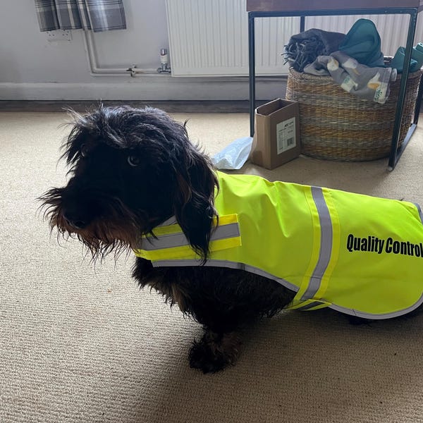 Dog Walker High Vis Vest Custom Printed Hi Viz Safety Vest Reflective ...