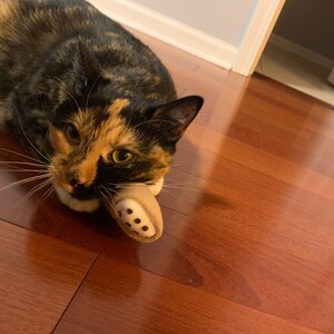 Catnip Cannoli Cat Toy - Etsy