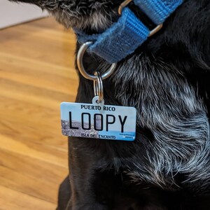 Texas Driver Dog Id Tag Personalized License, Durable Dog Tag, Double ...