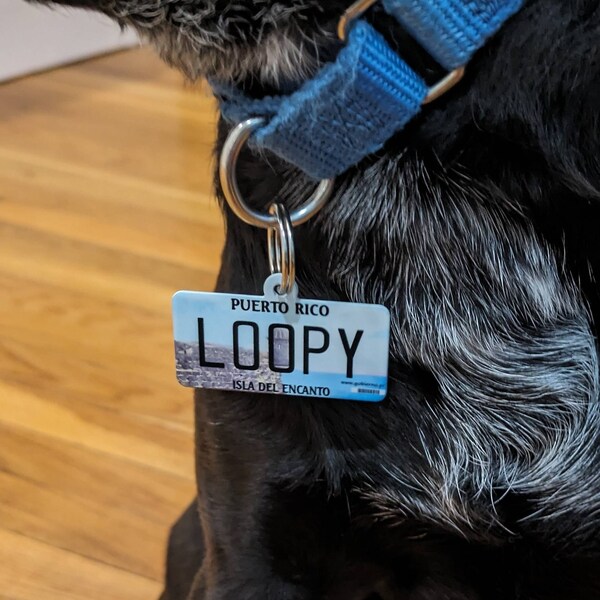 Texas Driver Dog Id Tag Personalized License, Durable Dog Tag, Double ...