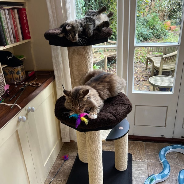 BIGGEST and STRONGEST Cat Post, Heavy Base, Custom Cat Scratcher ...