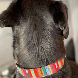 Color-block Personalized Dog Collar Colorful Dog Collar With - Etsy