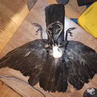 Crow Feet 3 Pairs 1 Carrion Crow 1 Magpie and 1 Jay Dried Talons Claws ...