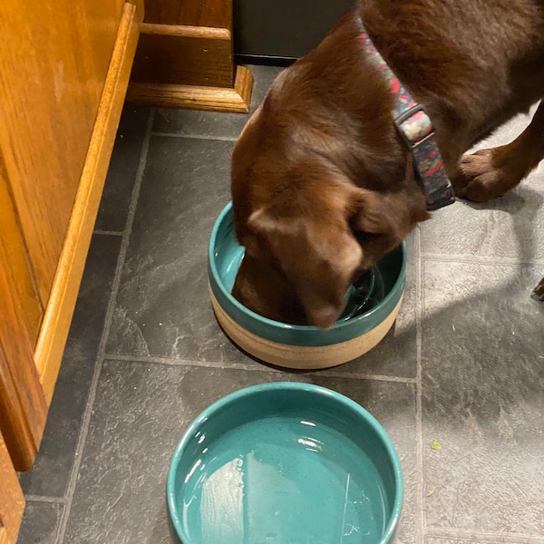 Slow Feeder 1/3 Dip Handmade Ceramic Dog Bowl | Puzzle Toy | Pet Feeder ...
