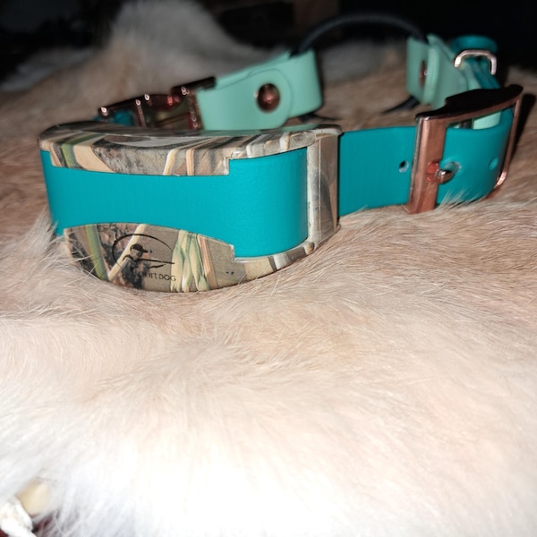 1.5 Tapered Biothane® Buckle Collar - Etsy