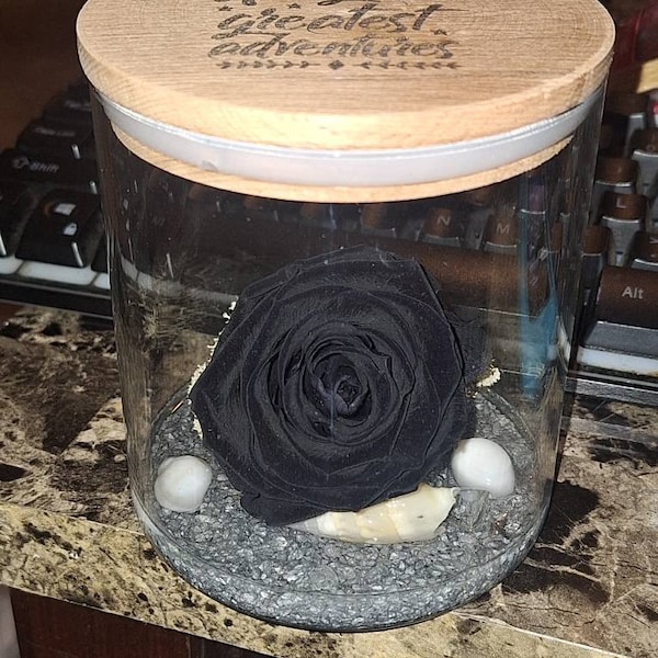 Preserved Rose, Gift for Girlfriend From Boyfriend, Personalized ...
