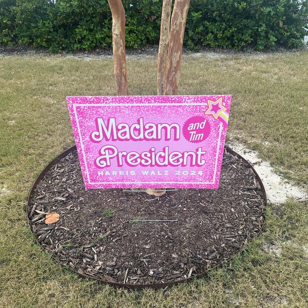 Personalized Security Blanket for Girls and Boys Newborn Gifts ...