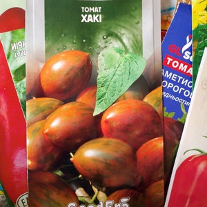 Melon Seeds Ukraine Heirloom Vegetable Seeds Ineya 166 - Etsy