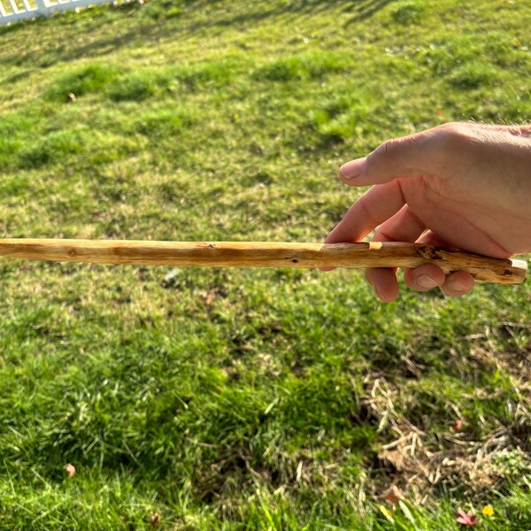 Tall Shaman Staff of Ash Wood, Walking Stick, Hand Carved Dance Staff ...