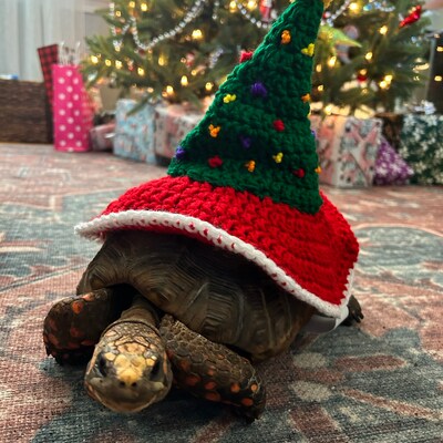 Pink Bikini Swimsuit Inspired Costume for Turtles/ Tortoises - Etsy