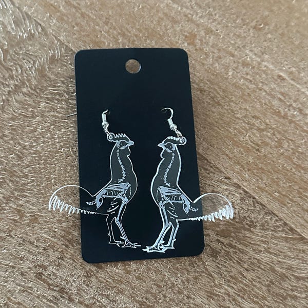 Centipede - Scolopendra - Centipedes - Invertebrates - Arthropod ...