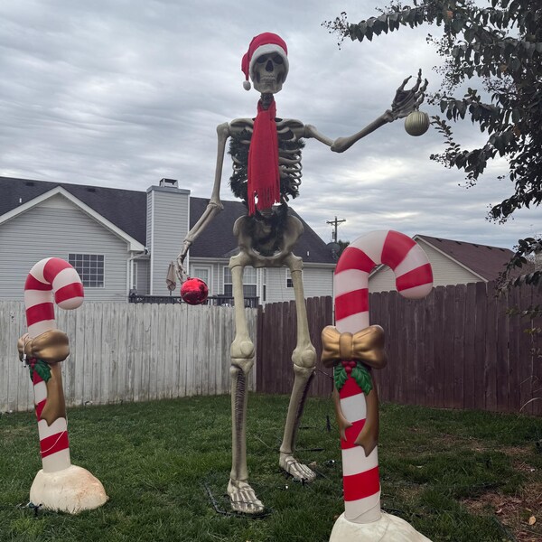 12 Ft Skeleton Pirate Costume!!!! (skelleton Not Included) - Etsy