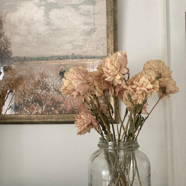 Dried Pepper Grass, Lepidium, Dried Grass, Grass Bunch, Green Grains ...