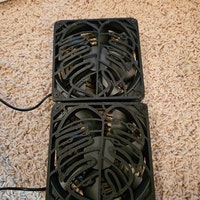 Plant Trellis Cebu Blue Pothos Plant Art Plant Decor - Etsy Canada