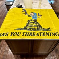 Step Brothers the Interview Flag Step Bros Flag Custom Any Size Funny ...