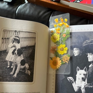 Forget Me Not Bookmark Real Dried Flowers Gift for Reader - Etsy