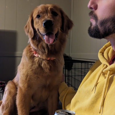 Bubblegum, Breakaway Collar, Breakaway Cat Collar, Breakaway Dog Collar ...