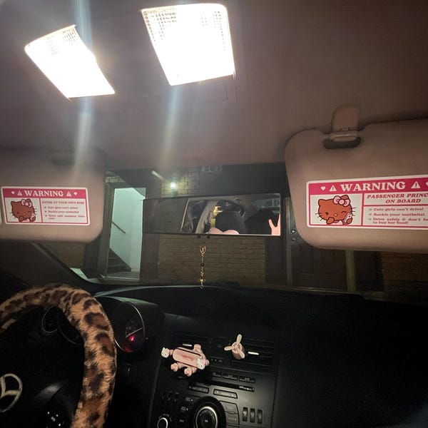 New Driver Pls Be Nice Sad Hamster Car Bumper Sticker Crying Funny Cute ...