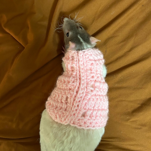 Rat Sweater - Cozy Sweater - Pet Sweater - Red Heart - Yarn - New ...