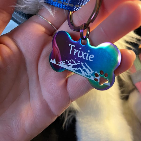 Cute Dog Tag Personalized for Dog, Custom Bone Dog Tags, Dog Name Tags ...