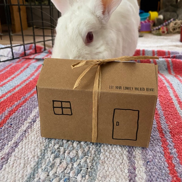 3 Mini Treat Bags. Foraging, Fling and Chew Toys. Rabbit Guinea Pig ...