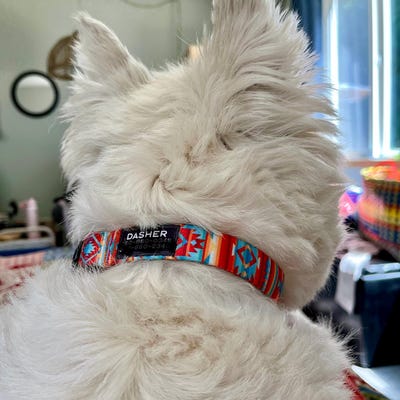 Treeline Dog Collar Trees Forest Nature Outdoors - Etsy